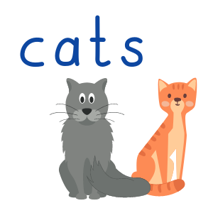 Lessons - Plural Nouns