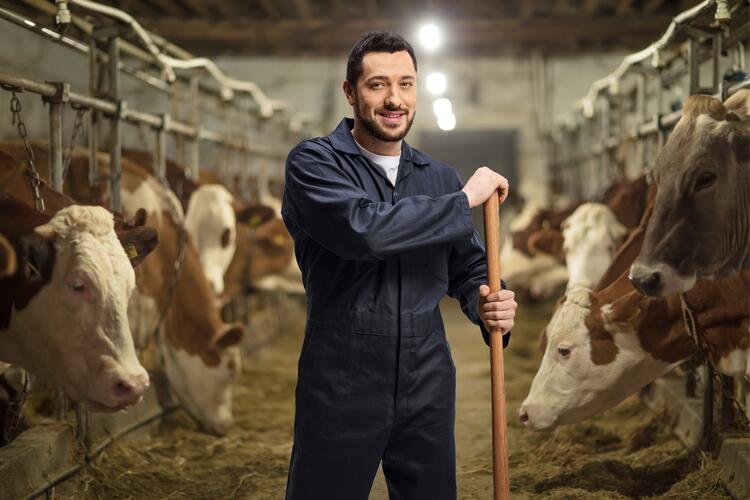 Übung - Berufe kennenlernen (1)