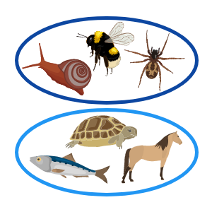 Lessons - Grouping Living Things