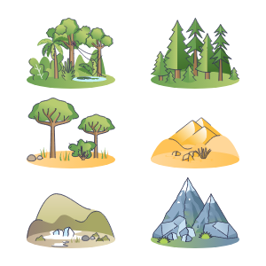 Lessons - Biomes