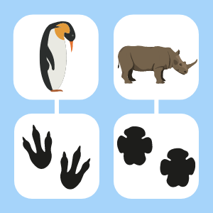 Übungen - Zuordnen und Verbinden – Übungsblock 2