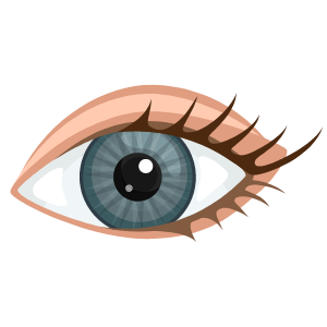 Übungen - Die Augen