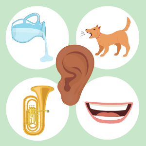 Lessons - Everyday Sounds