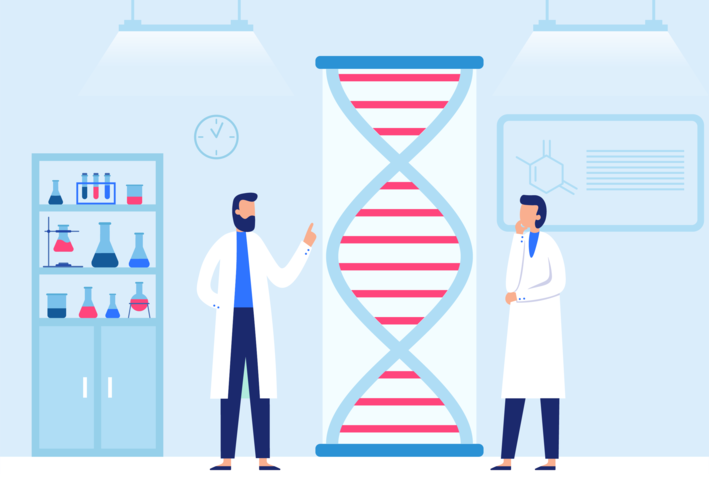 Übung - Das Modell der DNA