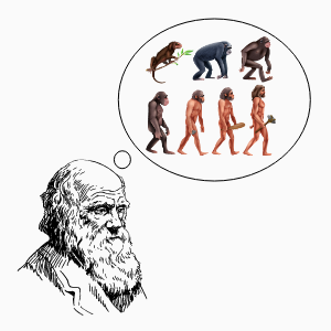 Übungen - Evolutionstheorien