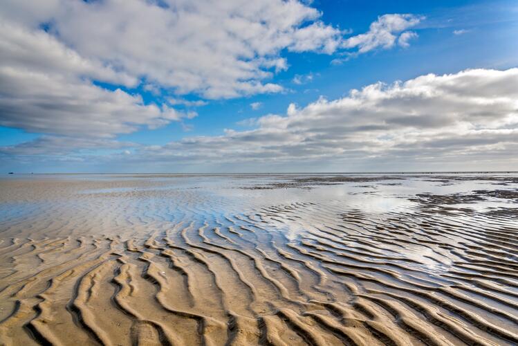 Übung - Was ist das Wattenmeer?