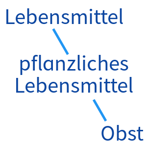 Übungen - Begriffe richtig verwenden