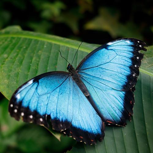 Übung - Lernwörter mit chs