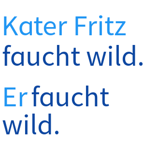 Übungen - Pronomen verwenden